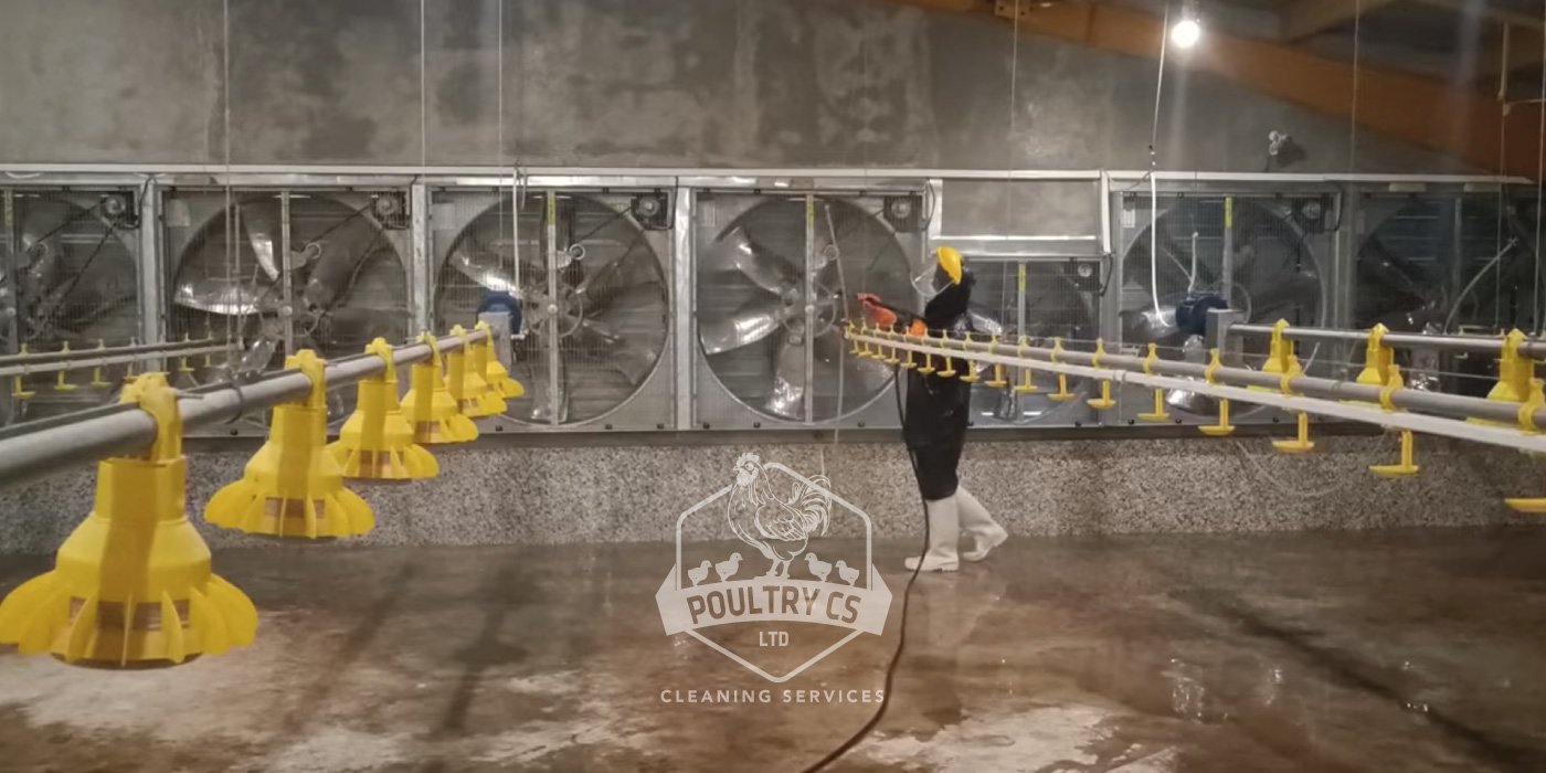 Top-Quality & Trusted Poultry Cleaning Service and Disinfection