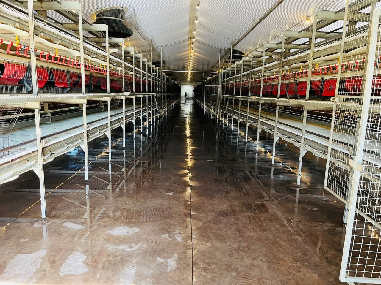 ABOUT US - Poultry Cleaning Services | England