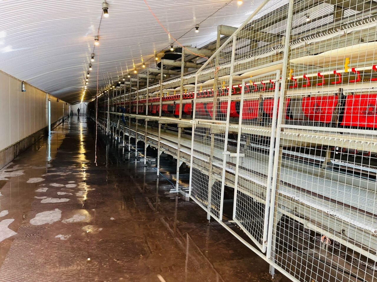 ABOUT US - Poultry Cleaning Services | England